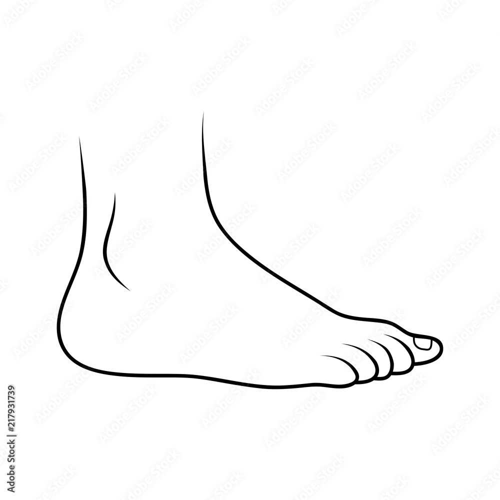 foot icon outline design isolated on white background Stock Vector ...