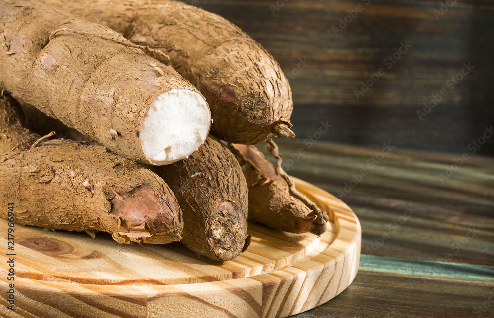 Manihot esculenta (cassava, yuca, manioc, mandioca, Brazilian arrowroot ...