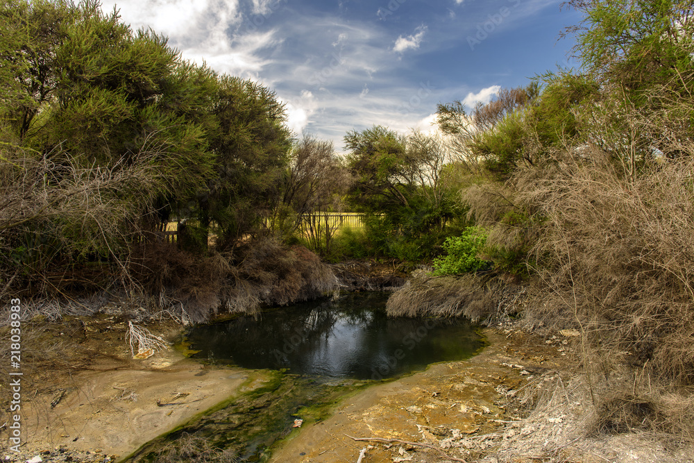 Small crater lake after a volcanic eruption in Kuirau park in Rotorua ...