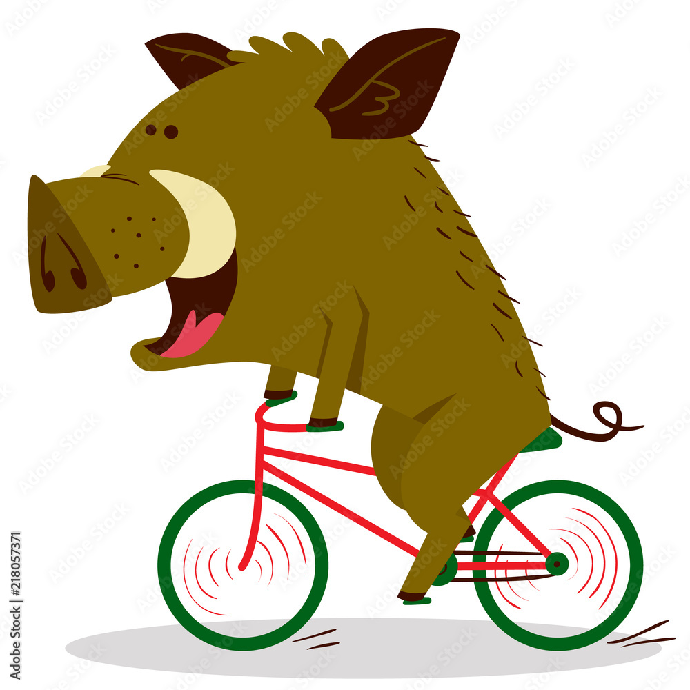 Cute boars or warthog character riding a bicycle. Vector illustration ...