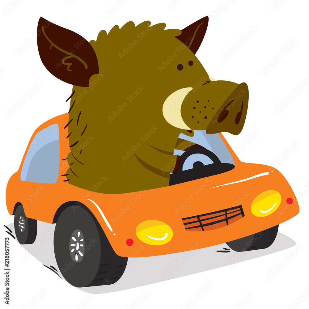 Cute boars or warthog character. Vector illustration with pig driving a ...