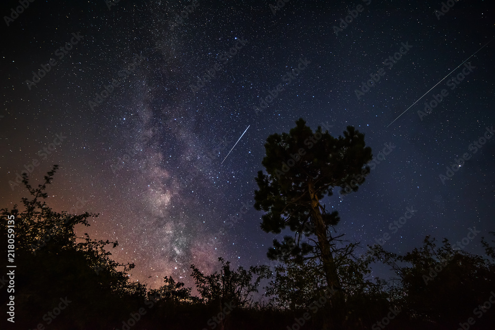 Milky Way and flying meteorites. black silhouette of a pine tree on a ...