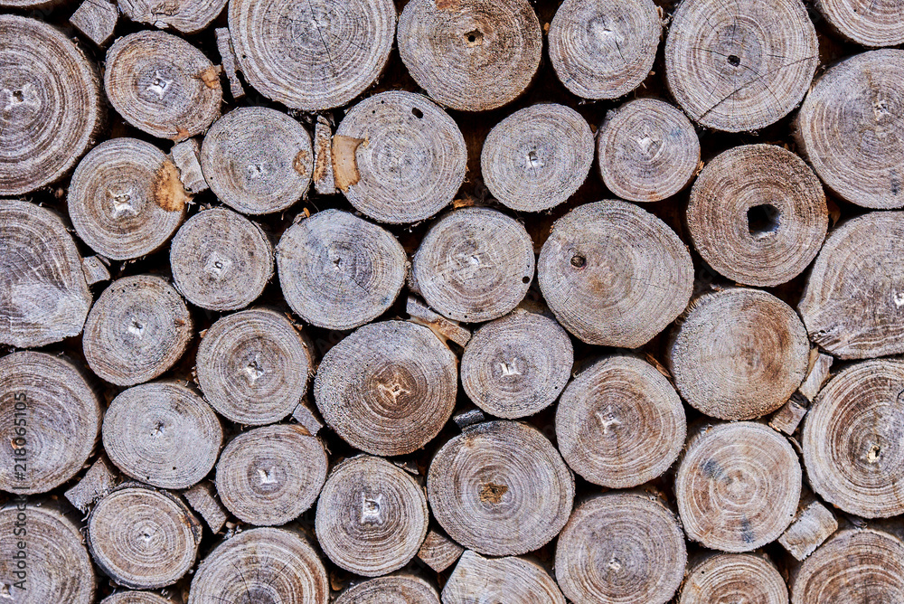 Eco natural wooden decor of tree light brown round stumps wallpaper ...