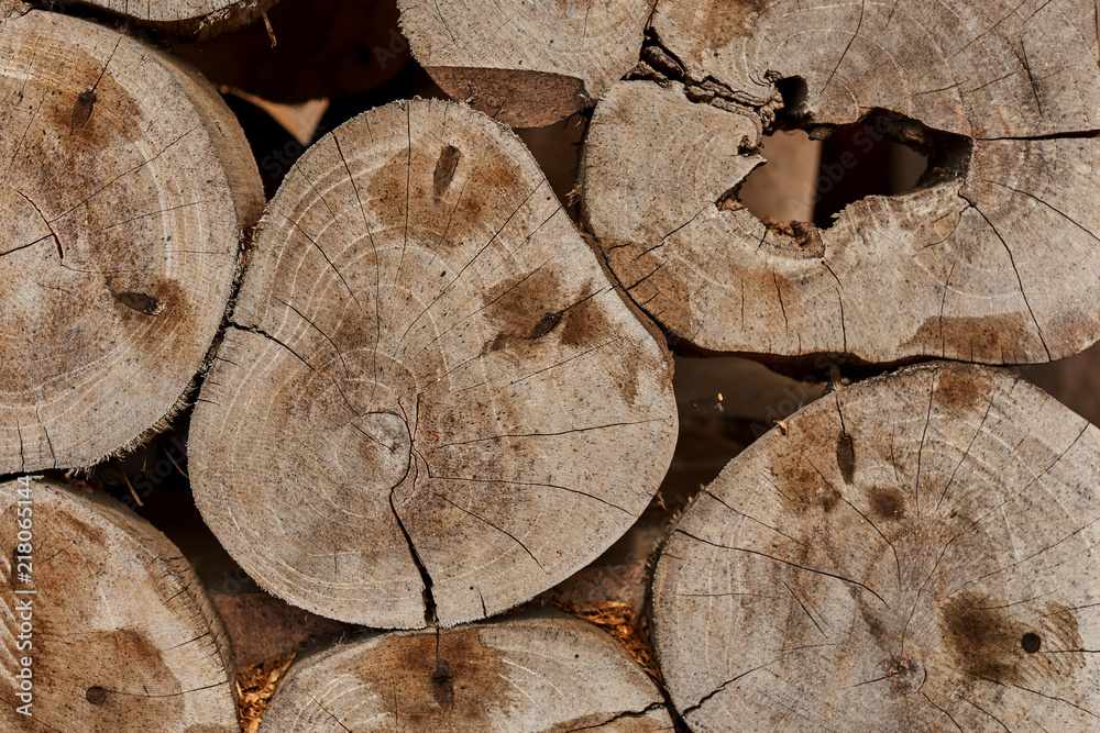 Eco natural wooden decor of tree light brown round stumps wallpaper ...