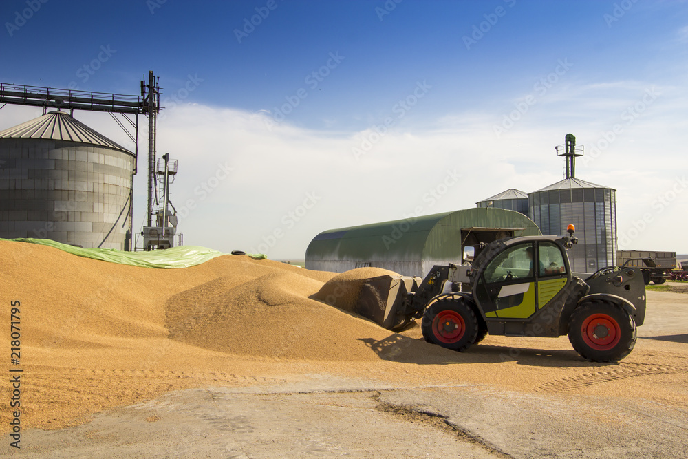 small loader of grain from a pile of wheat near a silo Stock Photo ...