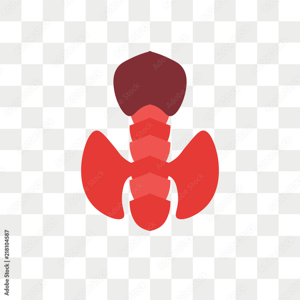 Larynx vector icon isolated on transparent background, Larynx logo ...