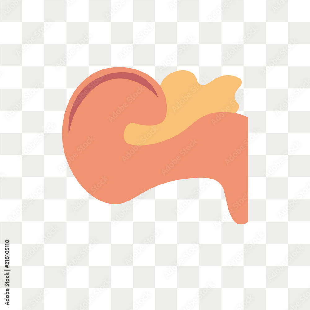 Pancreas vector icon isolated on transparent background, Pancreas logo ...