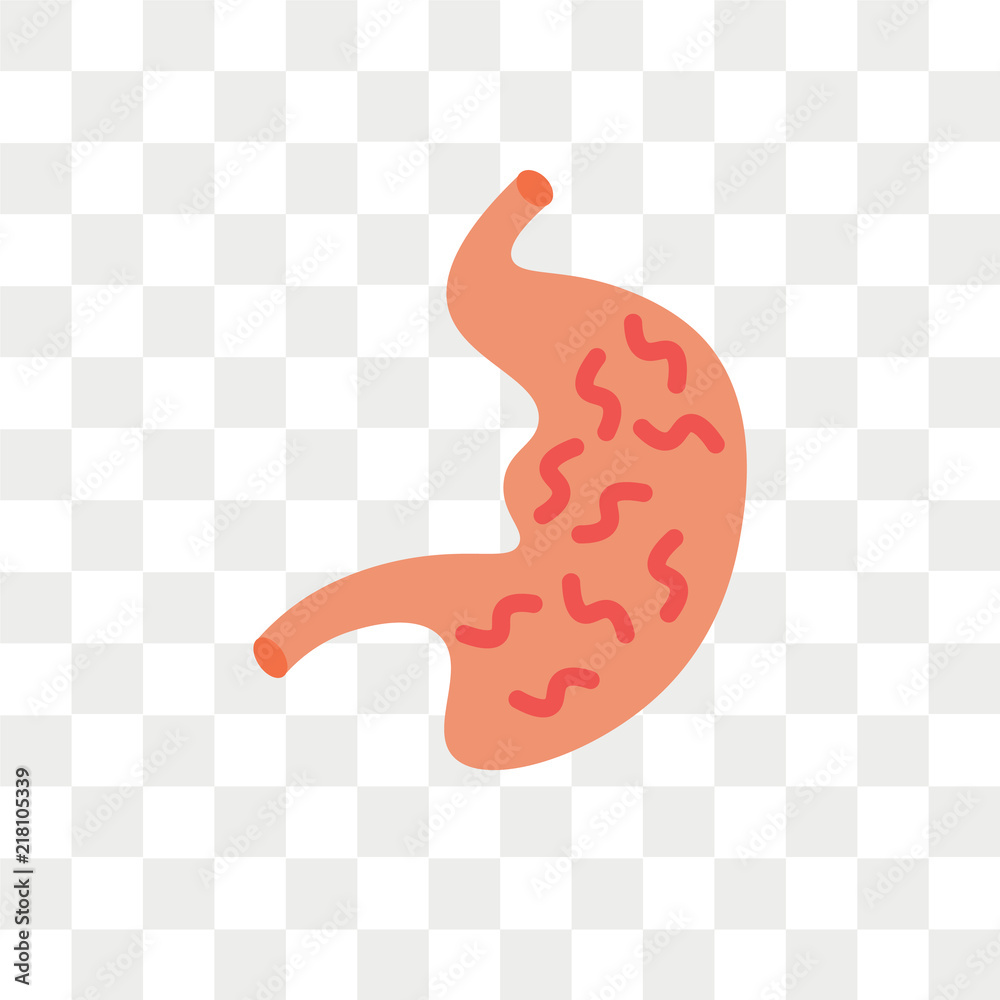 Stomach vector icon isolated on transparent background, Stomach logo ...