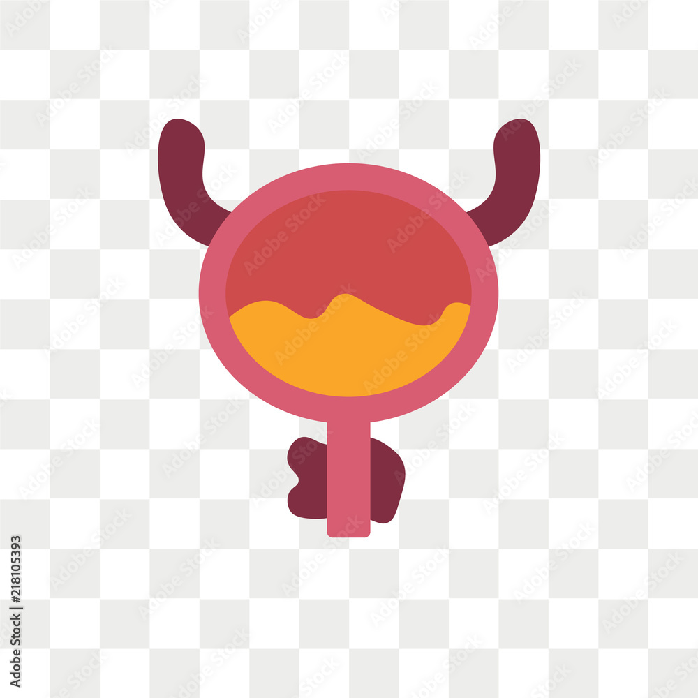 Bladder vector icon isolated on transparent background, Bladder logo ...