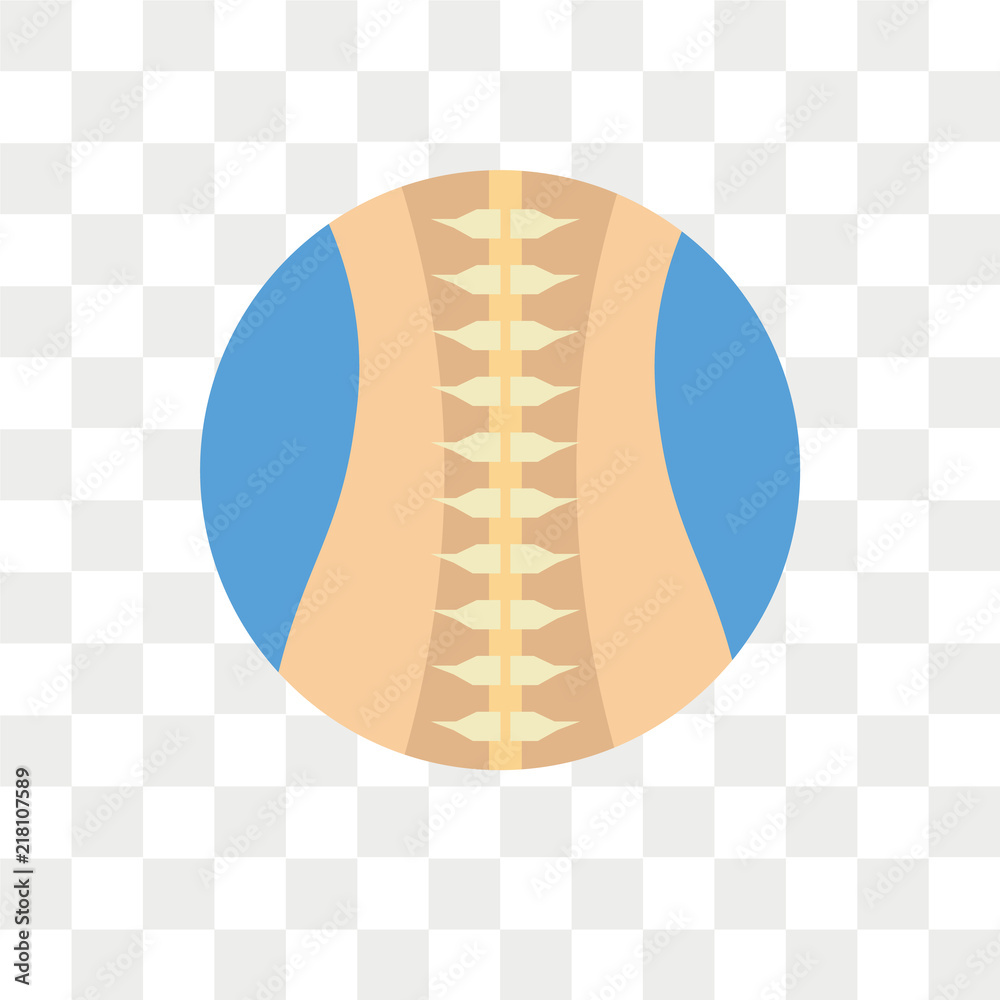 Spinal column vector icon isolated on transparent background, Spinal ...