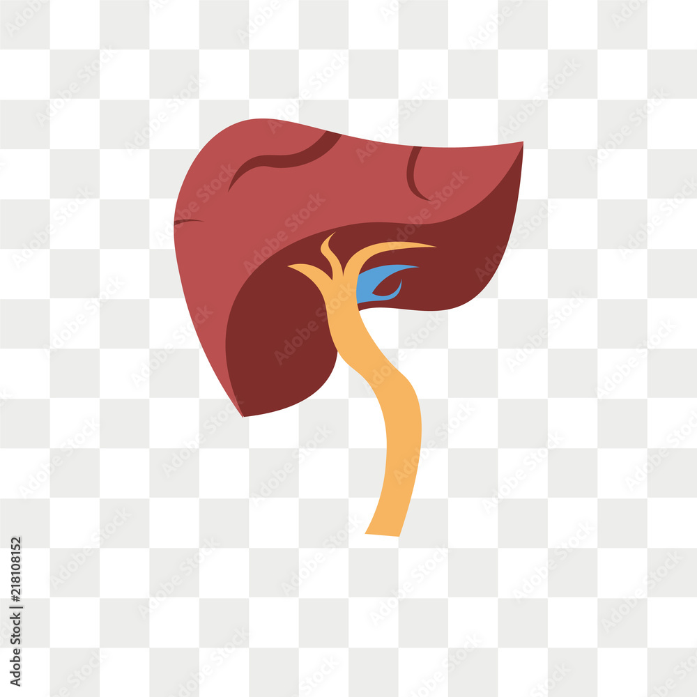 Liver vector icon isolated on transparent background, Liver logo design ...