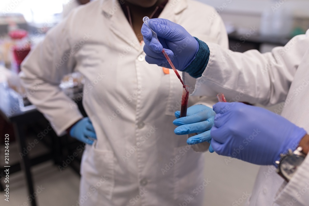 Laboratory technicians analyzing blood sample Stock Photo | Adobe Stock