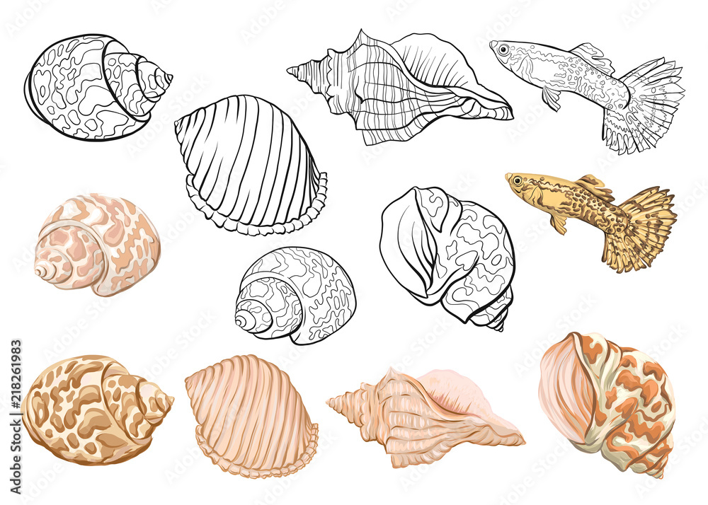 Sea collection. Original hand drawn. Vector illustration. Outline hand ...
