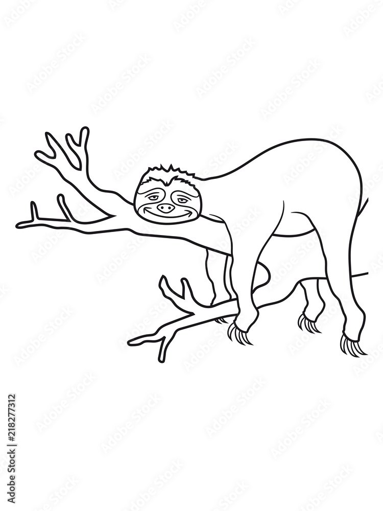 ast baum faultier entspannen müde chillen hängen schlafen faul ...