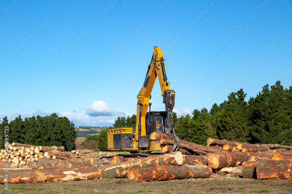 A swing loader is one of the logging and forestry machines used to ...