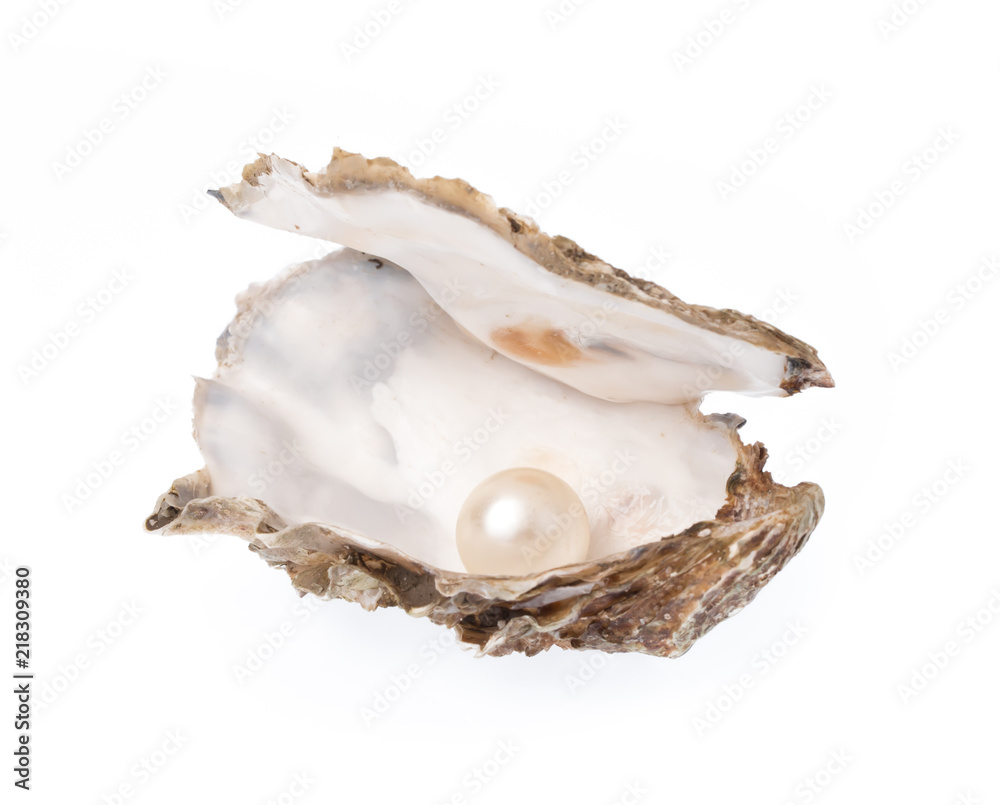 Open oyster with pearl isolated on white background Stock Photo | Adobe ...
