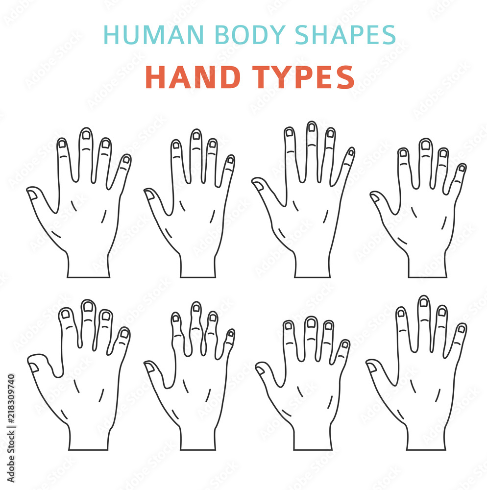 Human body shapes. Hand types icon set Stock Vector | Adobe Stock