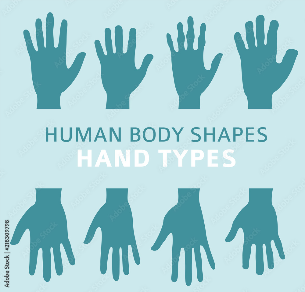 Human body shapes. Hand types icon set Stock Vector | Adobe Stock