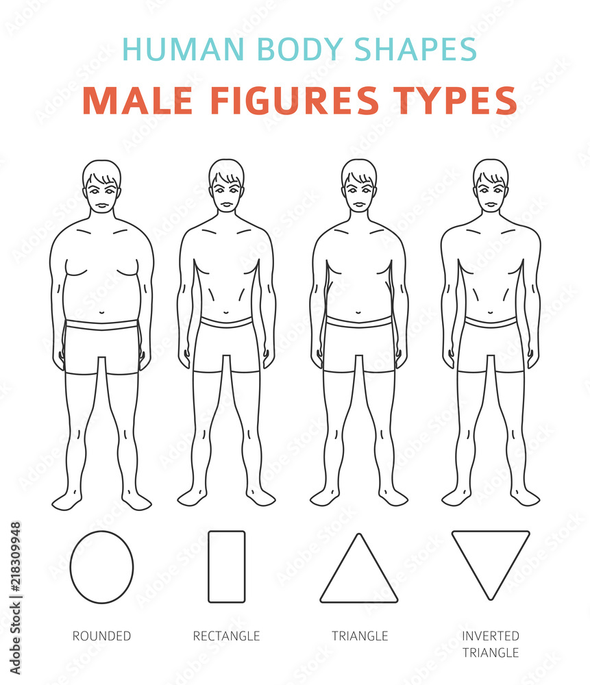 Human body shapes. Male figures types set Stock Vector | Adobe Stock