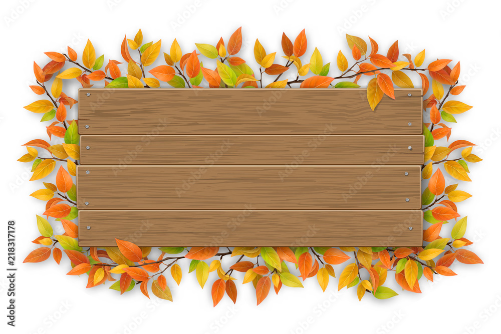 Empty wooden sign with space for text on a background of tree branches ...