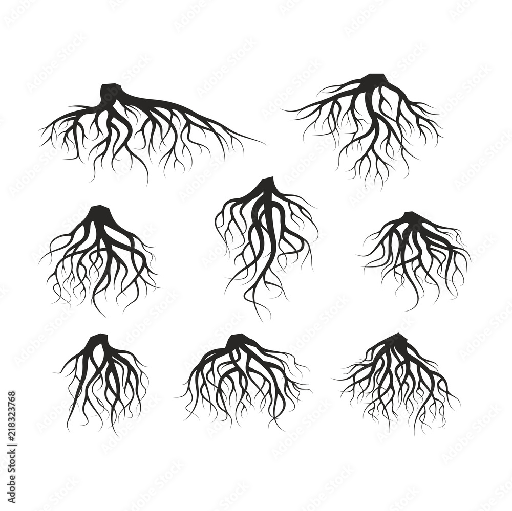 Vector Illustration : Set of Black Roots Stock Vector | Adobe Stock