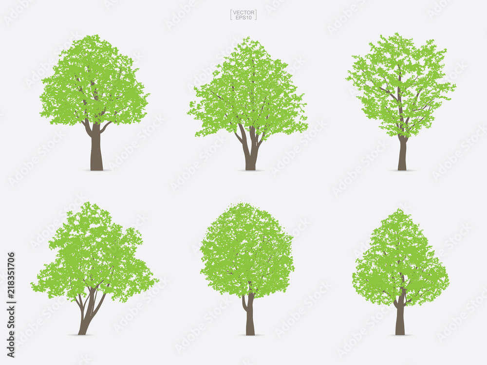 Set of green tree isolated on white background for landscape design and ...
