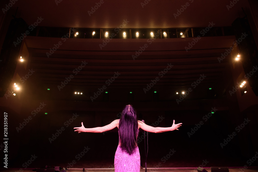 Beautiful singer against the auditorium. Back view girl in long gown ...