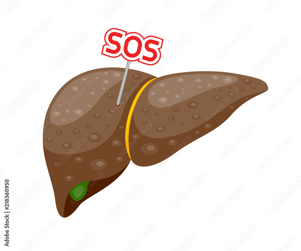 Human liver symbol with SOS sign. Internal organ requires care or ...