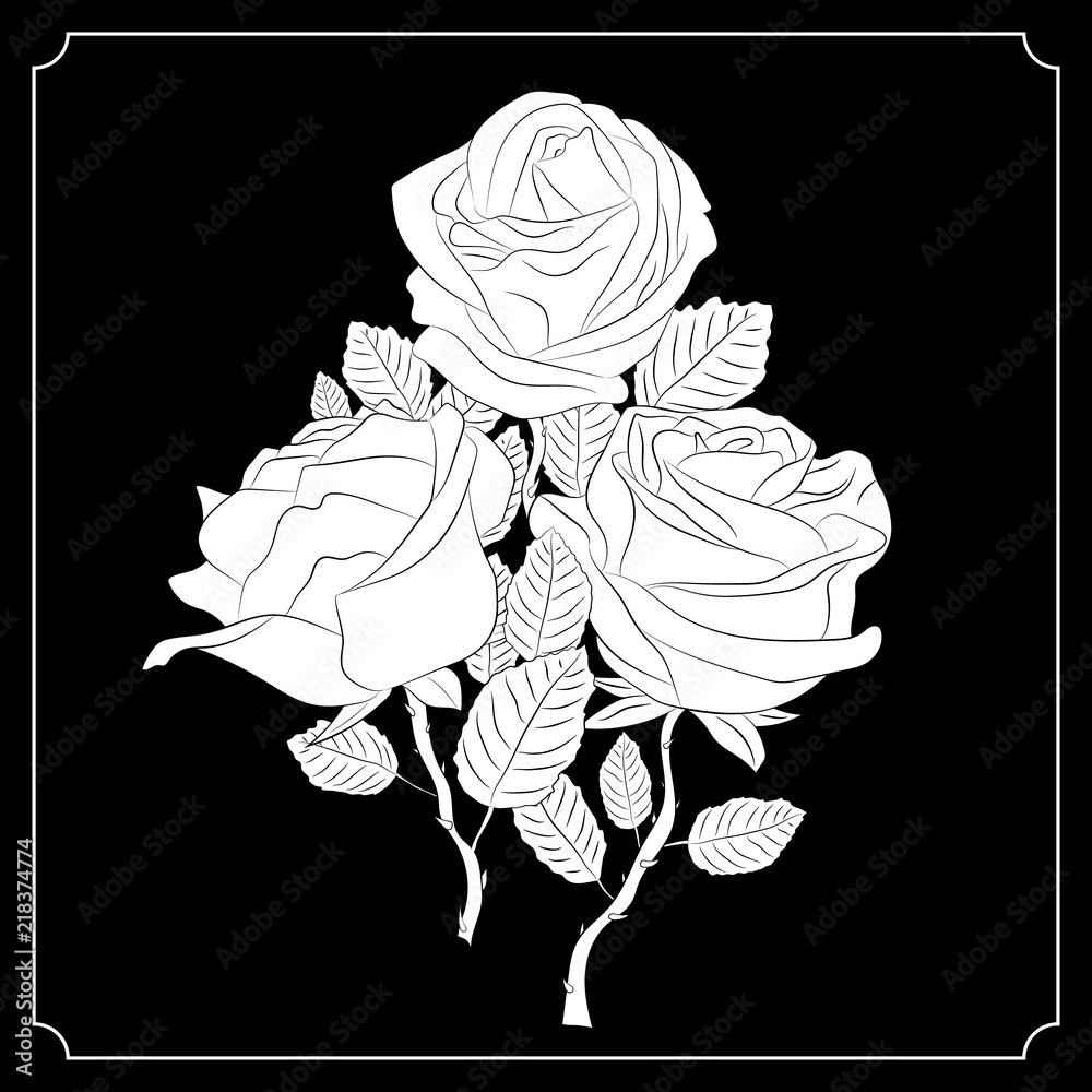 Three Roses Drawing