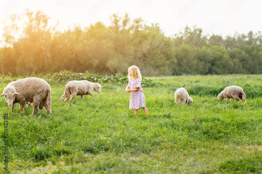 smiling and trying to feed sheep in summer outdoors / happy kids ...