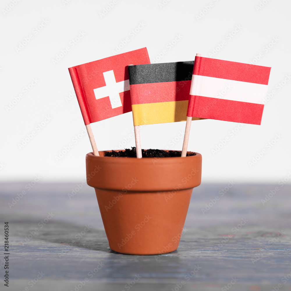 Flaggen der DACH Länder in einem Blumentopf, Konzept ...