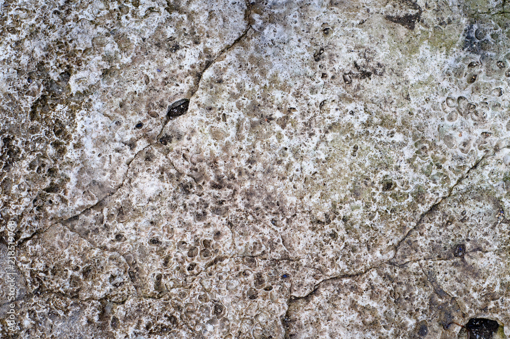 Surface of sea stone, structure, texture. Background Stock Photo ...