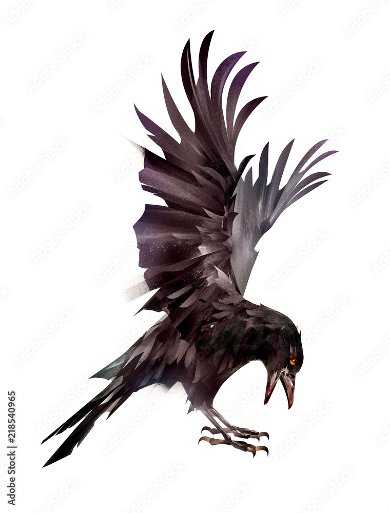 painted bird raven on side on white background Stock Illustration ...