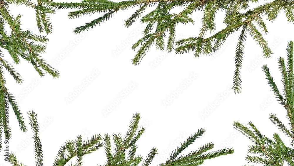 Christmas branches of a coniferous tree on the edges of the screen on ...
