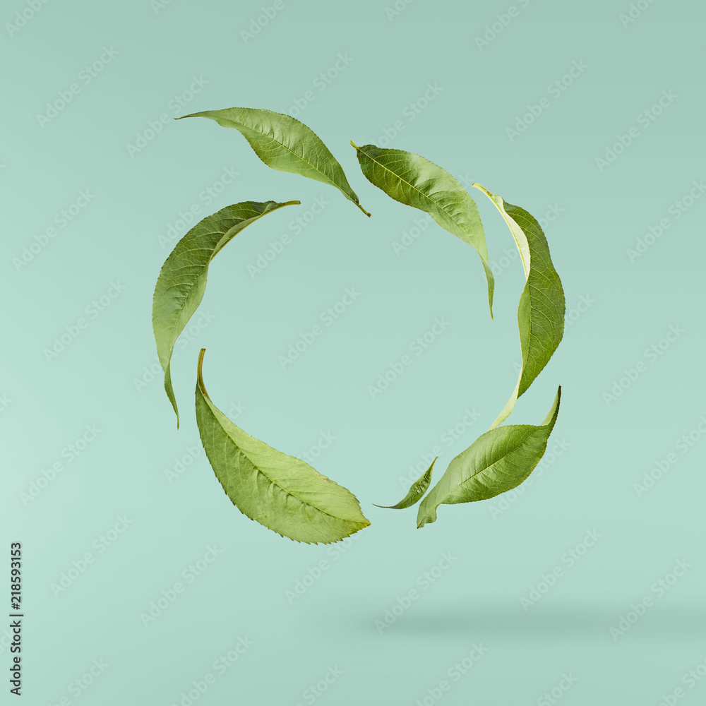 flying green tea leaves isolated Stock Photo | Adobe Stock