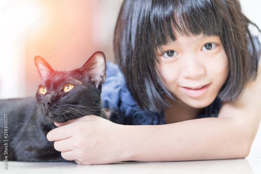 Selective focus on adorable Asia kid girl playing with Thai cat. Little ...