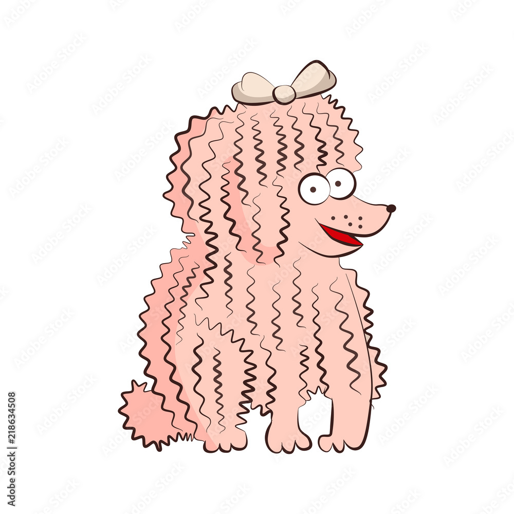 Poodle vector breed dog illustration. Cartoon funny pet character ...