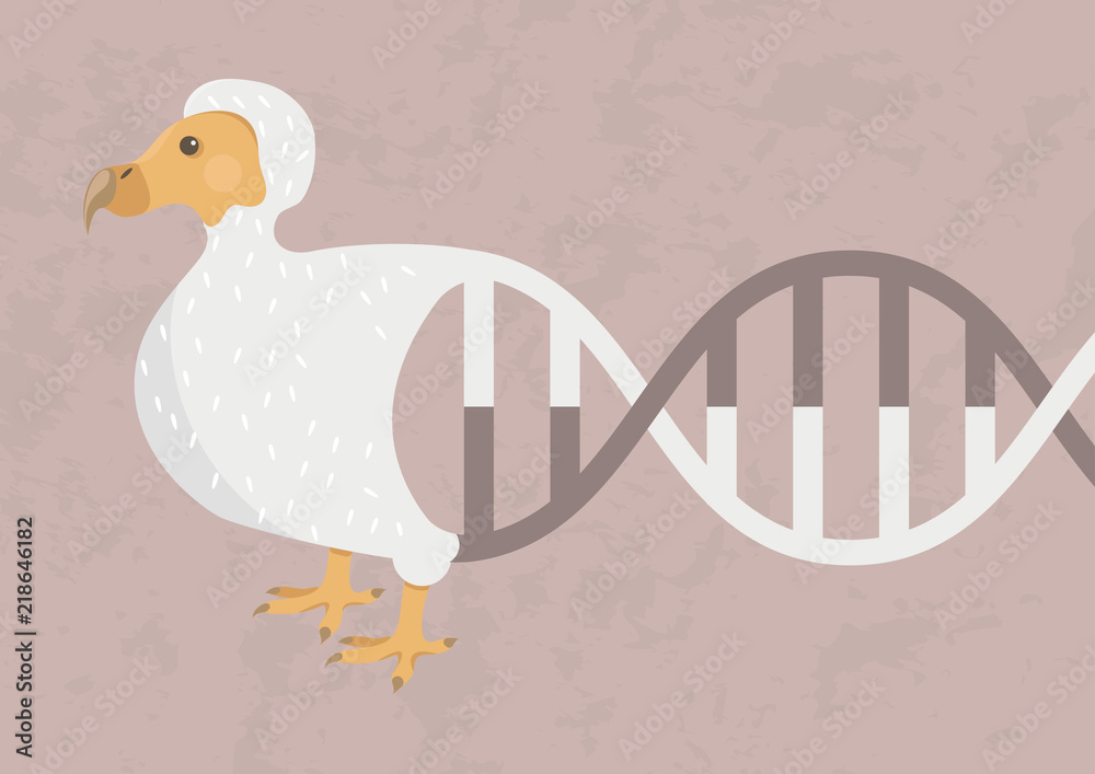 Dodo from DNA (horizontal illustration). Possibility of resurrection ...