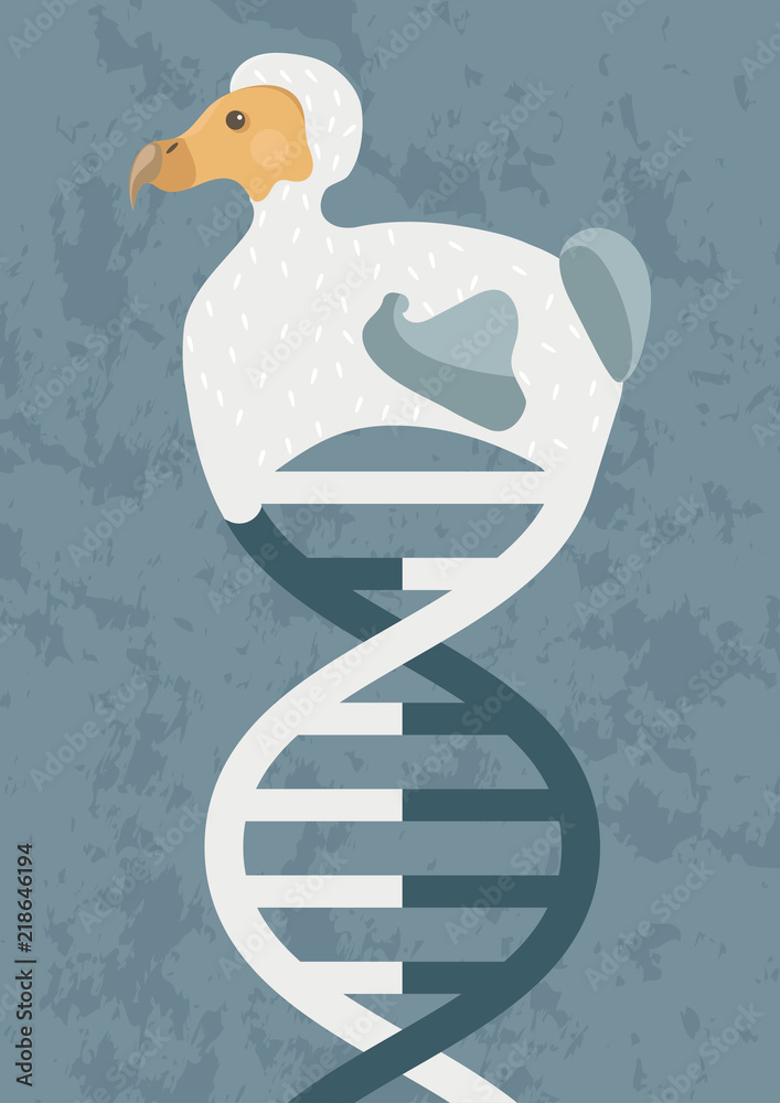 Dodo from DNA (vertical illustration). Possibility of resurrection ...