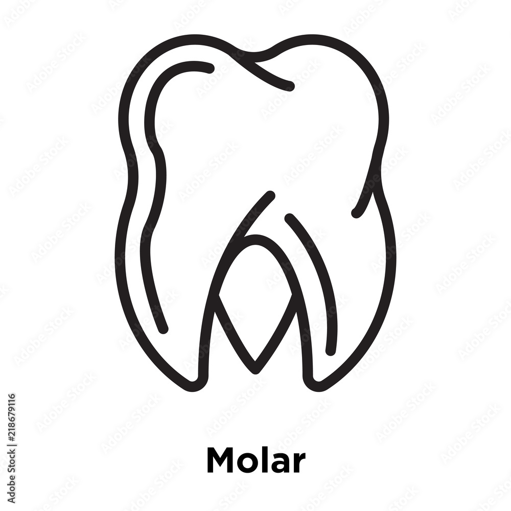 molar icons isolated on white background. Modern and editable molar ...