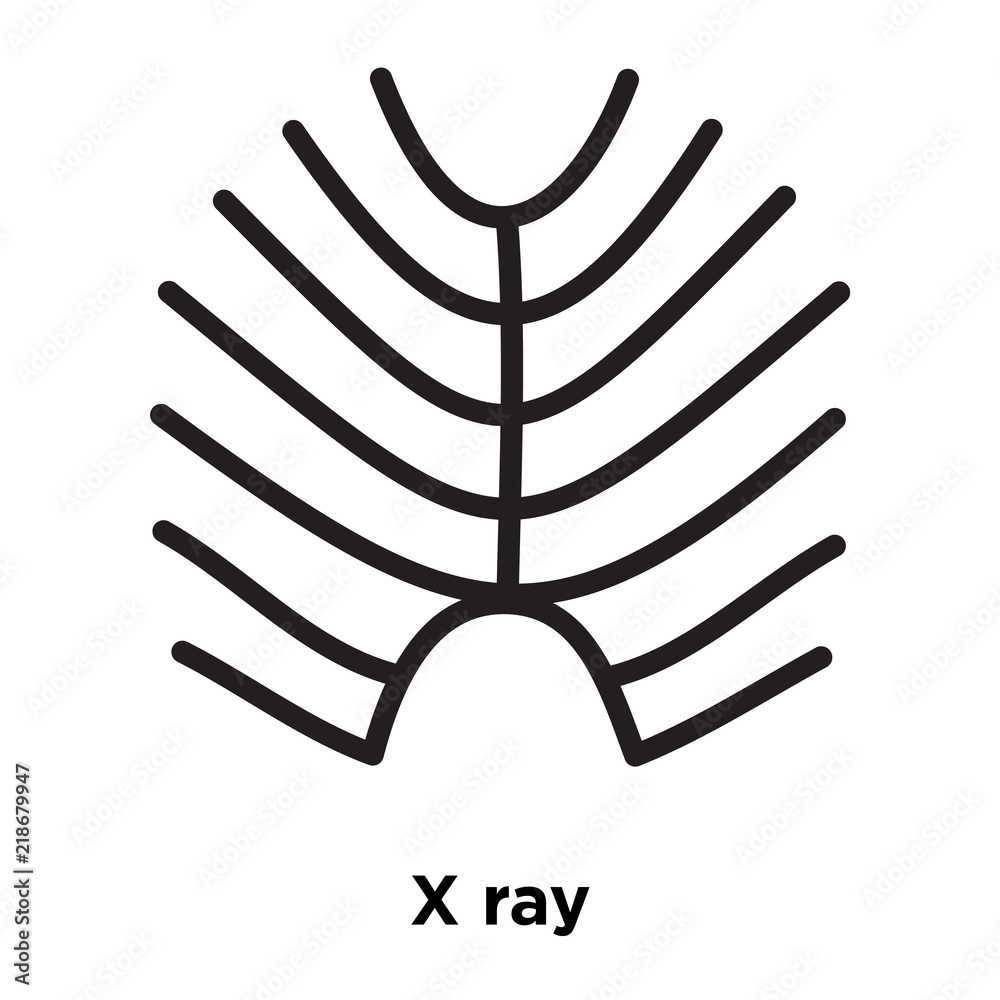 x ray icons isolated on white background. Modern and editable x ray ...