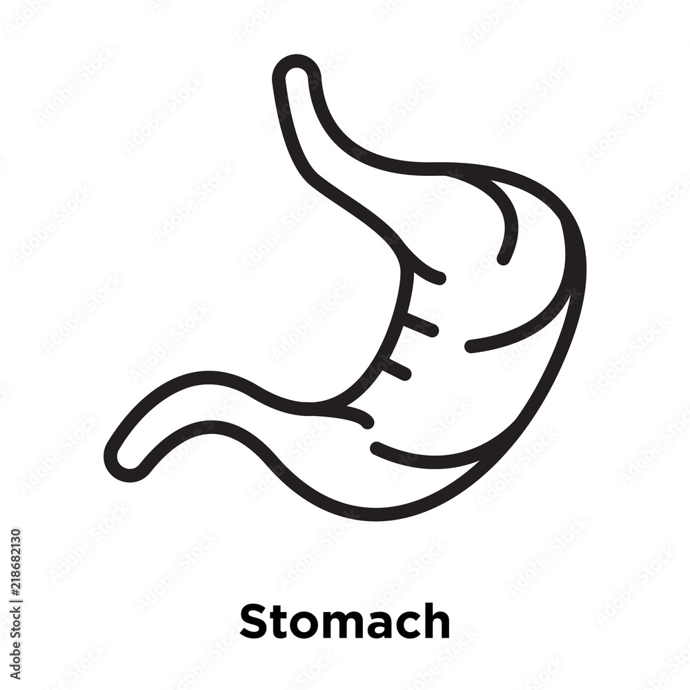 stomach icons isolated on white background. Modern and editable stomach ...