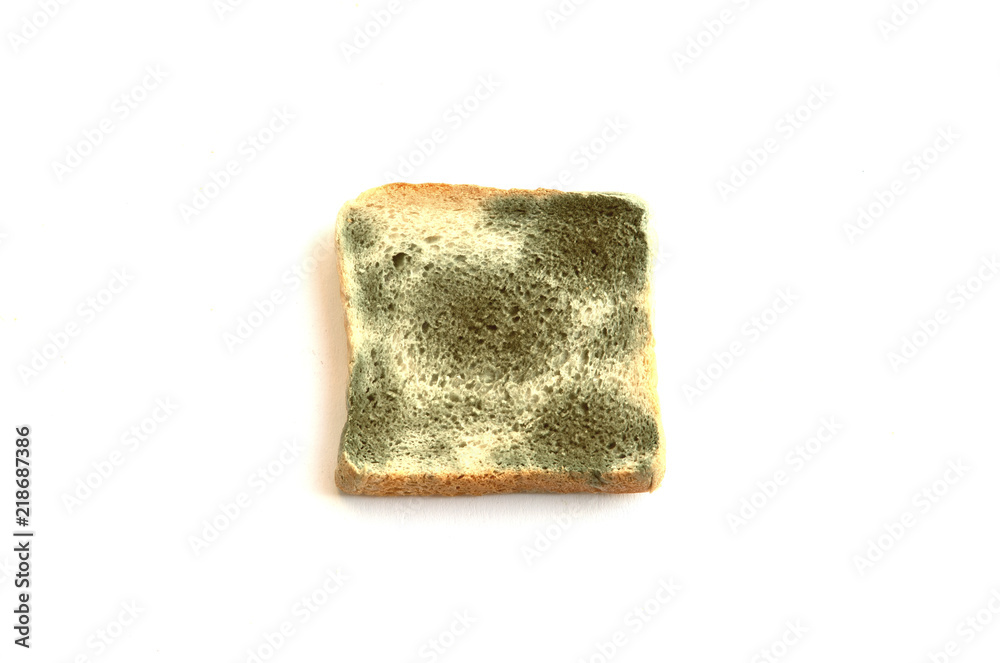 Moldy White Bread