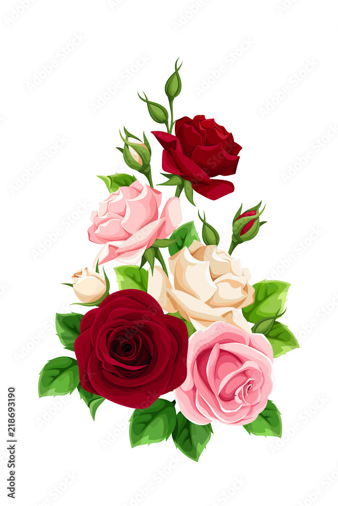 Vector pink, burgundy and white roses isolated on a white background ...