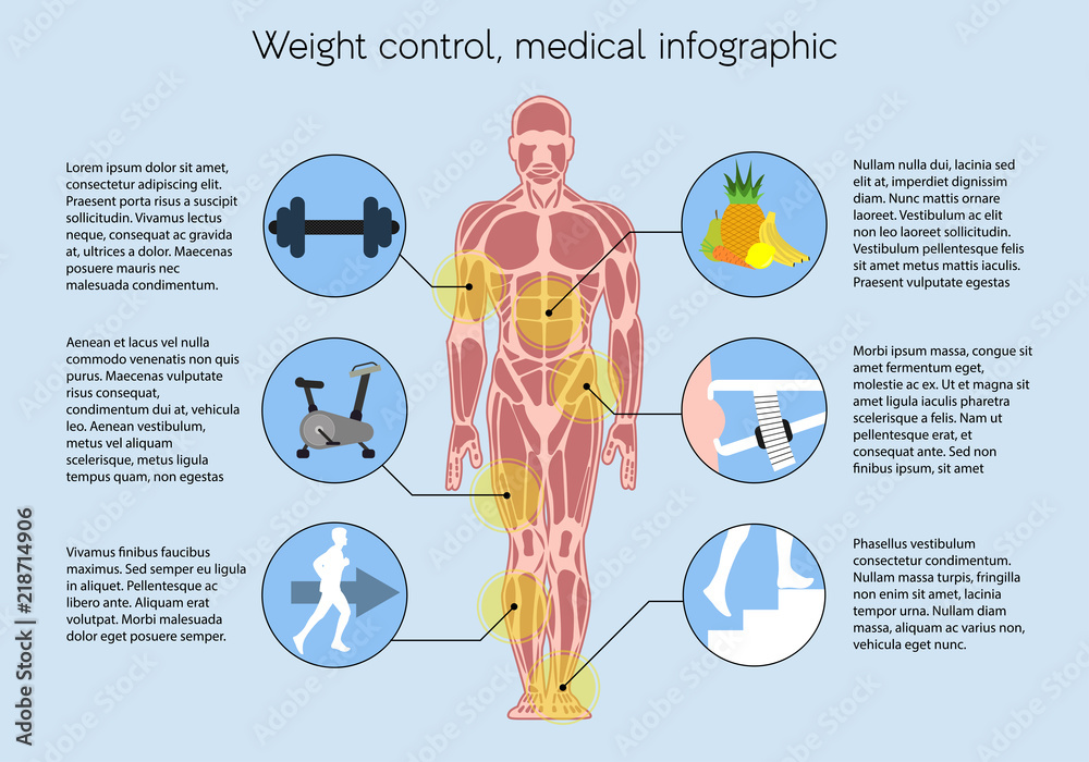Measuring body mass, medical infographic. Muscular structure in men ...