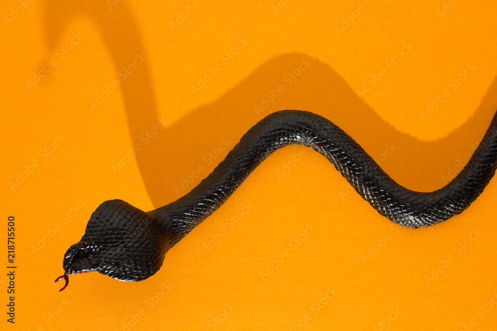 Halloween background concept. Top view of black snake graphic shadow on ...