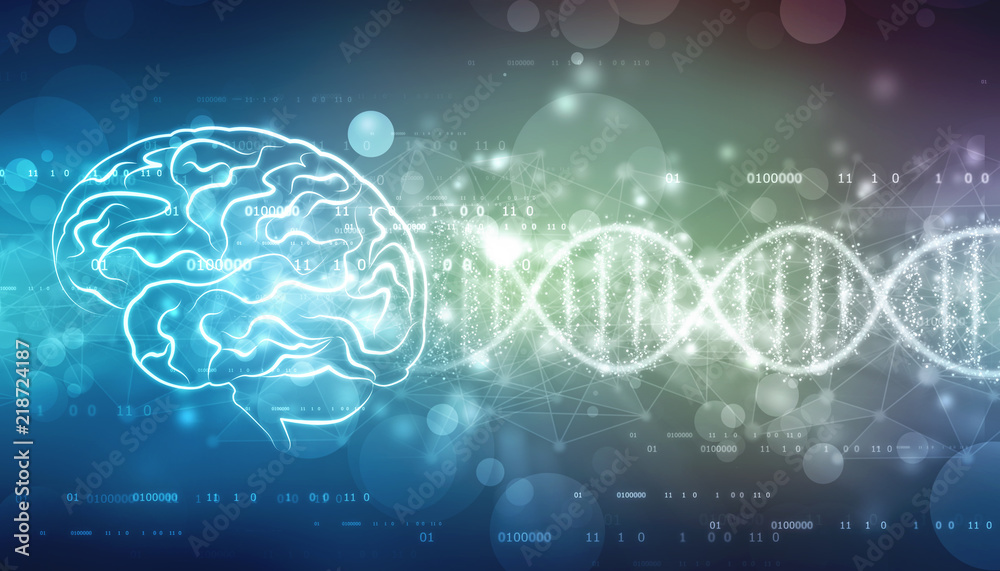 Human brain 2d illustration, Digital illustration of Human brain ...