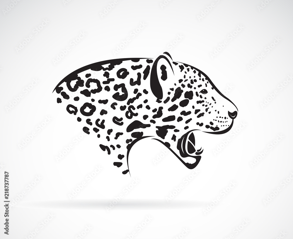 Vector of a leopard on white background. Wild Animals. Easy editable ...