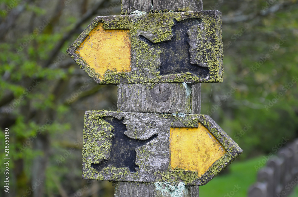 Moss-covered wooden signs along the Pendle Witches Trail in Lancashire ...