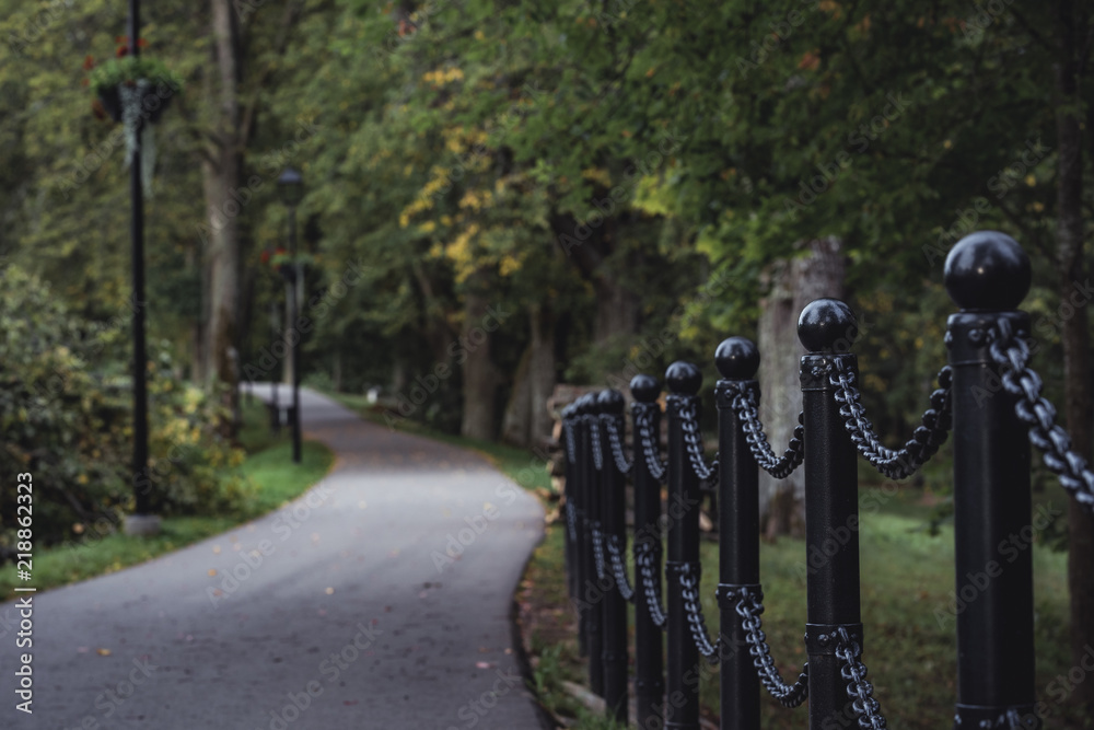 Moody Photo of the Road in a Park, Between Woods - Desaturated, Vintage ...